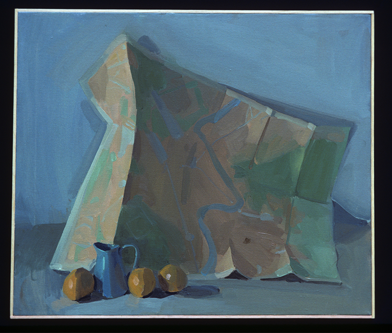 Ann Feitelson Quilt Artist