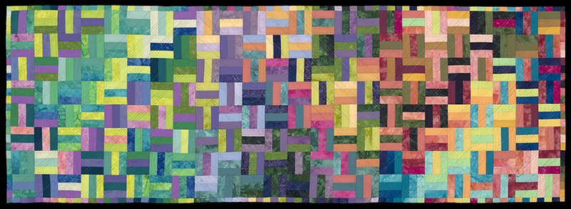 Ann Feitelson Quilt Artist