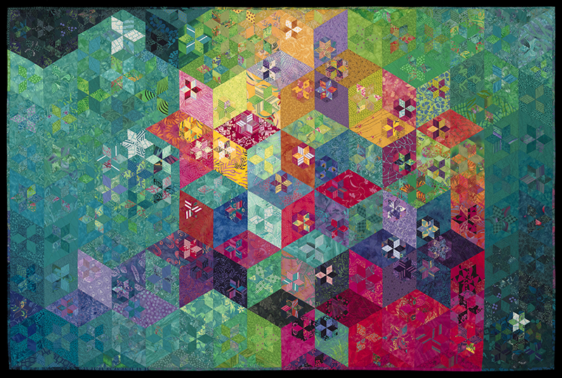 Ann Feitelson Quilt Artist
